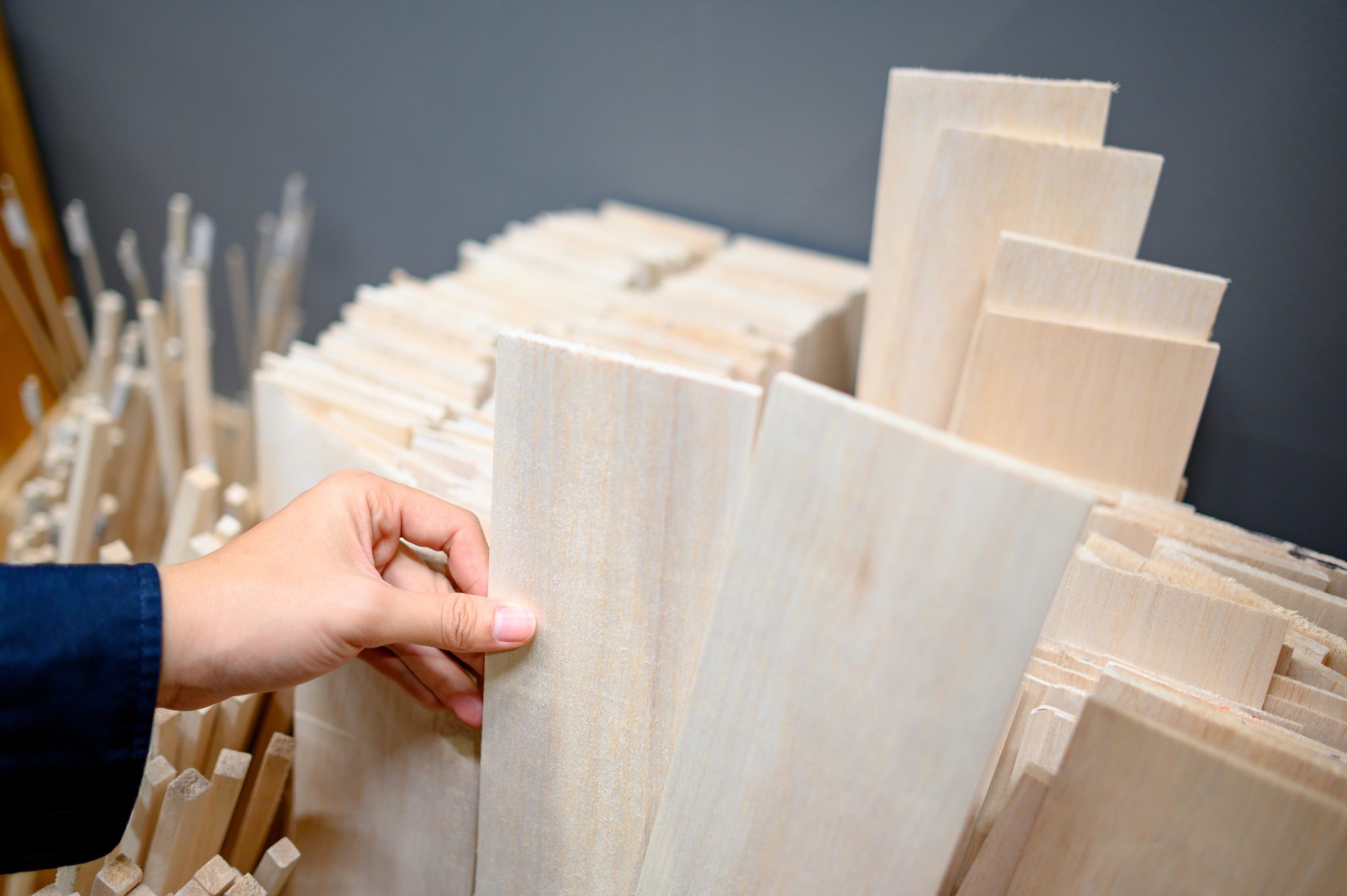 Tout savoir sur le bois balsa